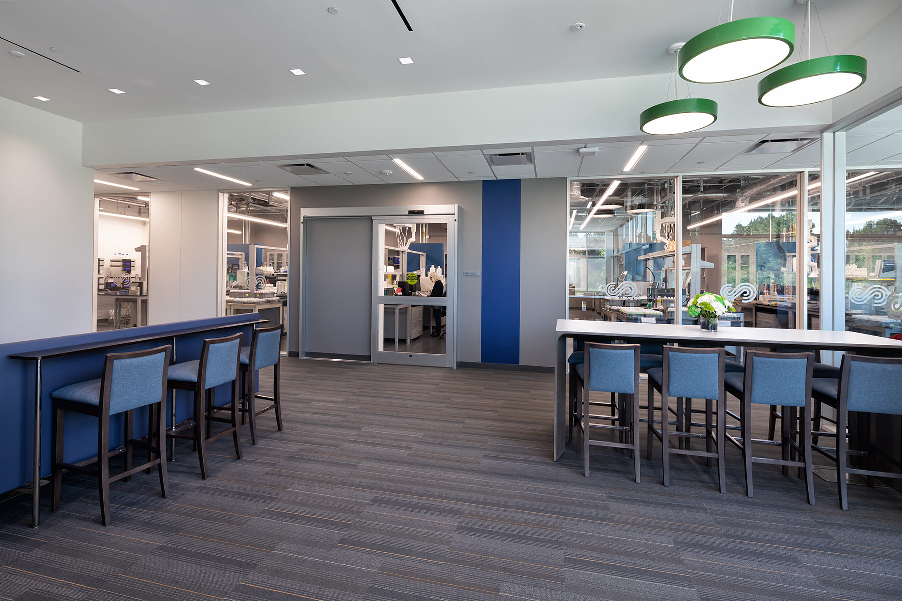 Suez Lab | E.E. Reed